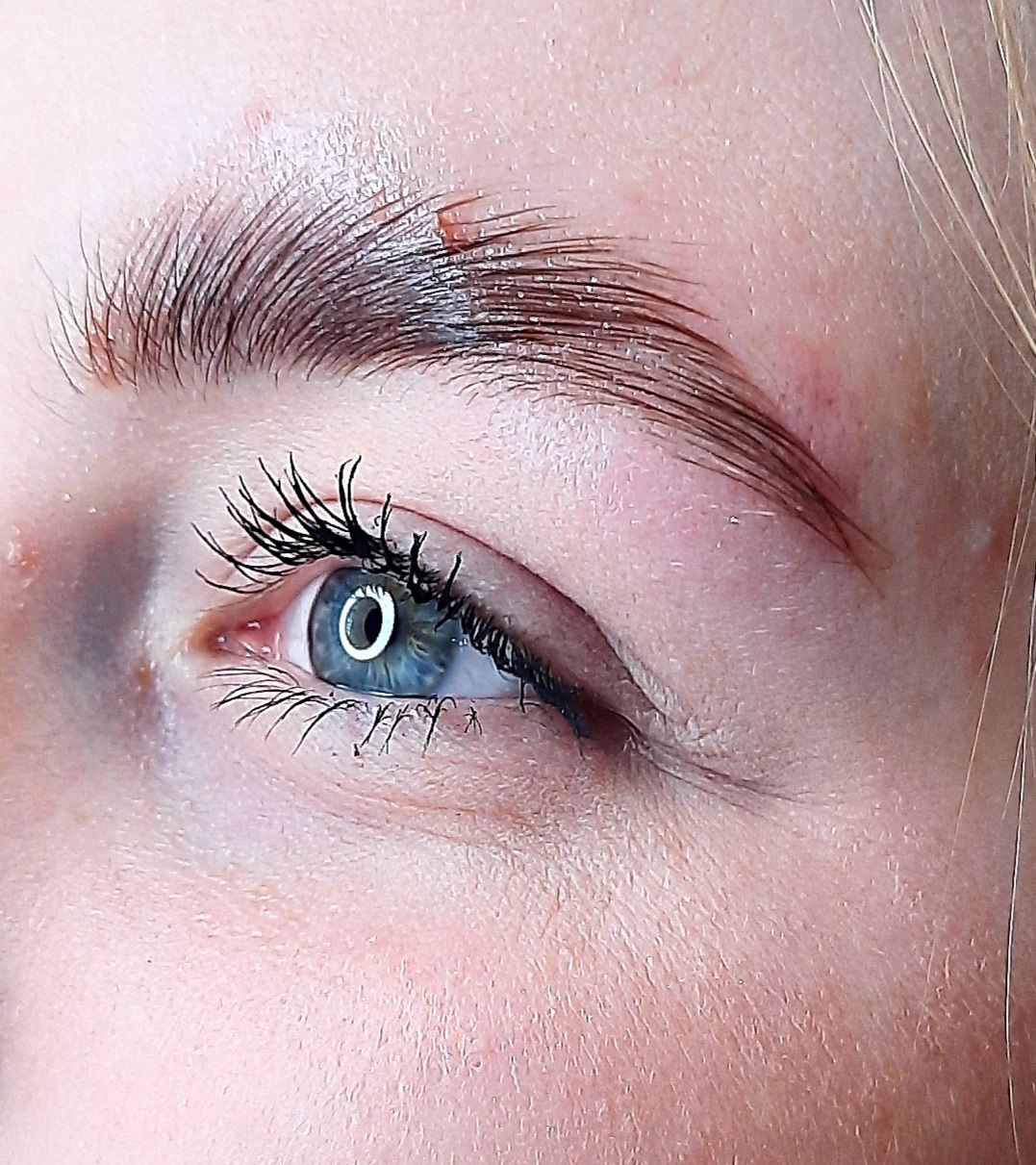 Cejas #45521 - fotos de trabajos de especialista Stanislava
